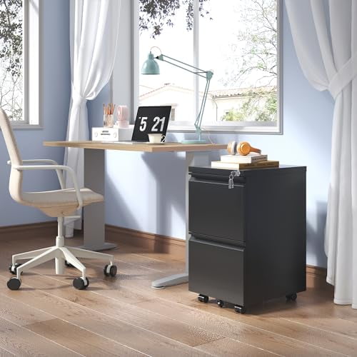 Mobile Metal File Cabinet with Lock - Under Desk, 2 Drawer Rolling File ...