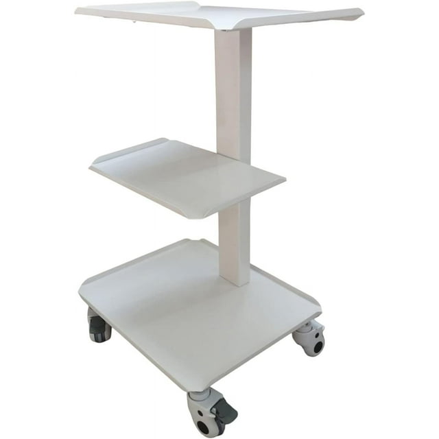 Mobile Salon Trolley Beauty Cart, 3 Tier Rolling Cart, Esthetician Cart ...