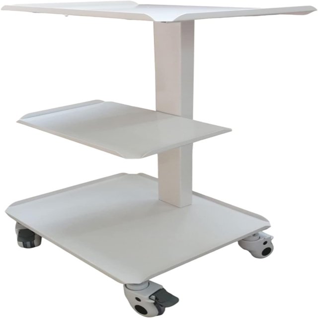 Mobile Salon Trolley Beauty Cart 3 Tier Rolling Cart Esthetician Cart ...