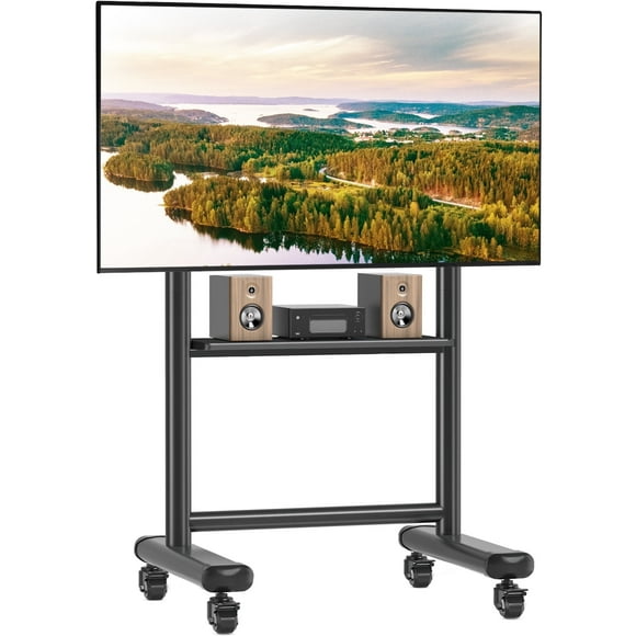 Rolling Stand Flat Screen Tv