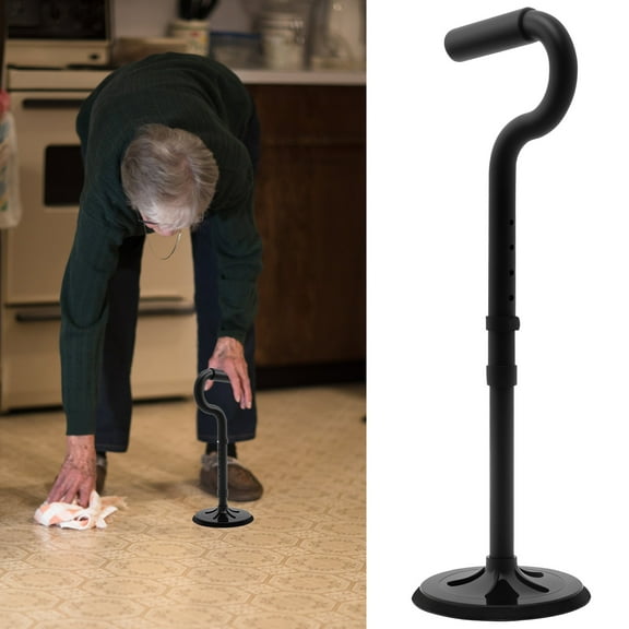 Bandwagon Elderly & Handicapped Mobility Aid, Portable Chair Assist ...