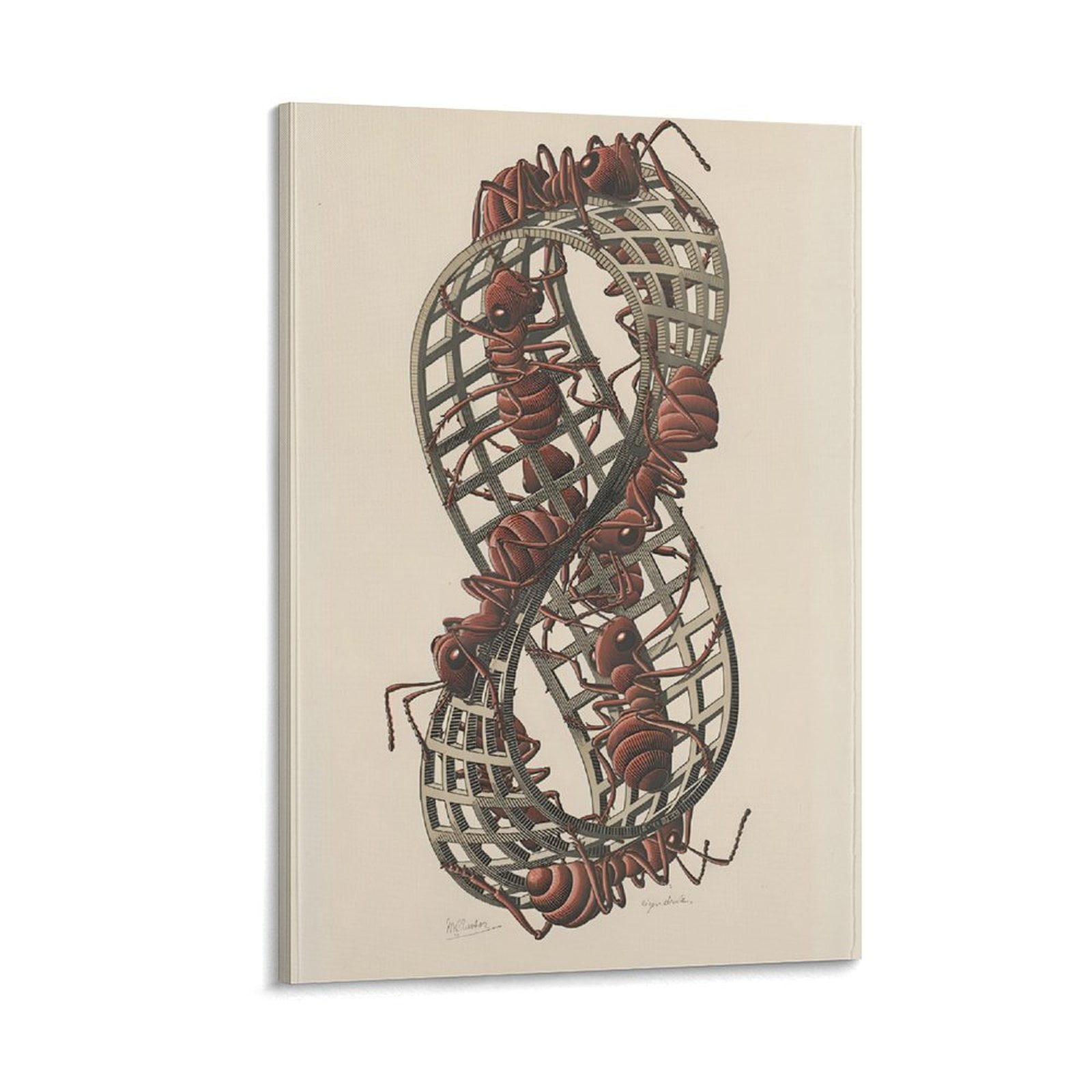 Mobius Strip Poster Poster M.C. Escher Posters Art Print Wall Photo ...