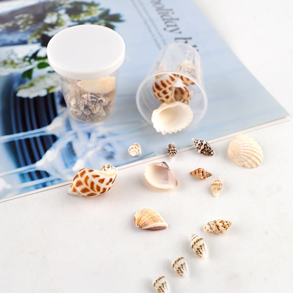 Mobutofu 2 Boxes Diy Seashells For Restaurant And Aquarium Decorations ...