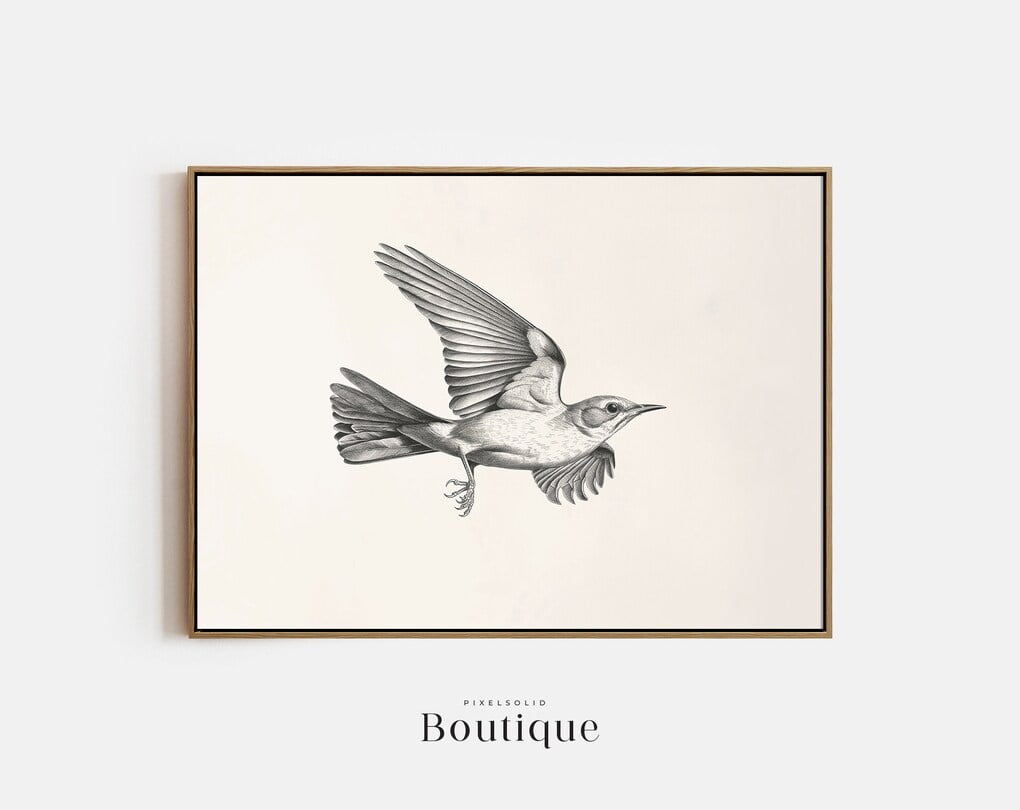 Mockingbird Sketch, Neutral Bird Illustration Print, Bird Art Decor ...