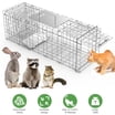 Duke Heavy Duty Cage Trap, Reusable, Catch Release, Steel Frame, Green ...