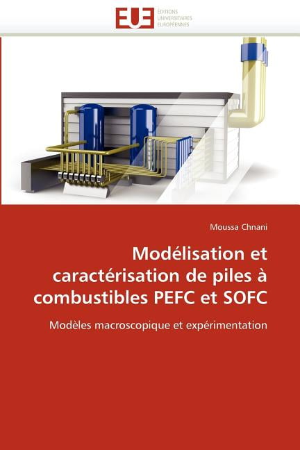 Modélisation Et Caractérisation de Piles À Combustibles Pefc Et Sofc (Paperback) - Walmart.com