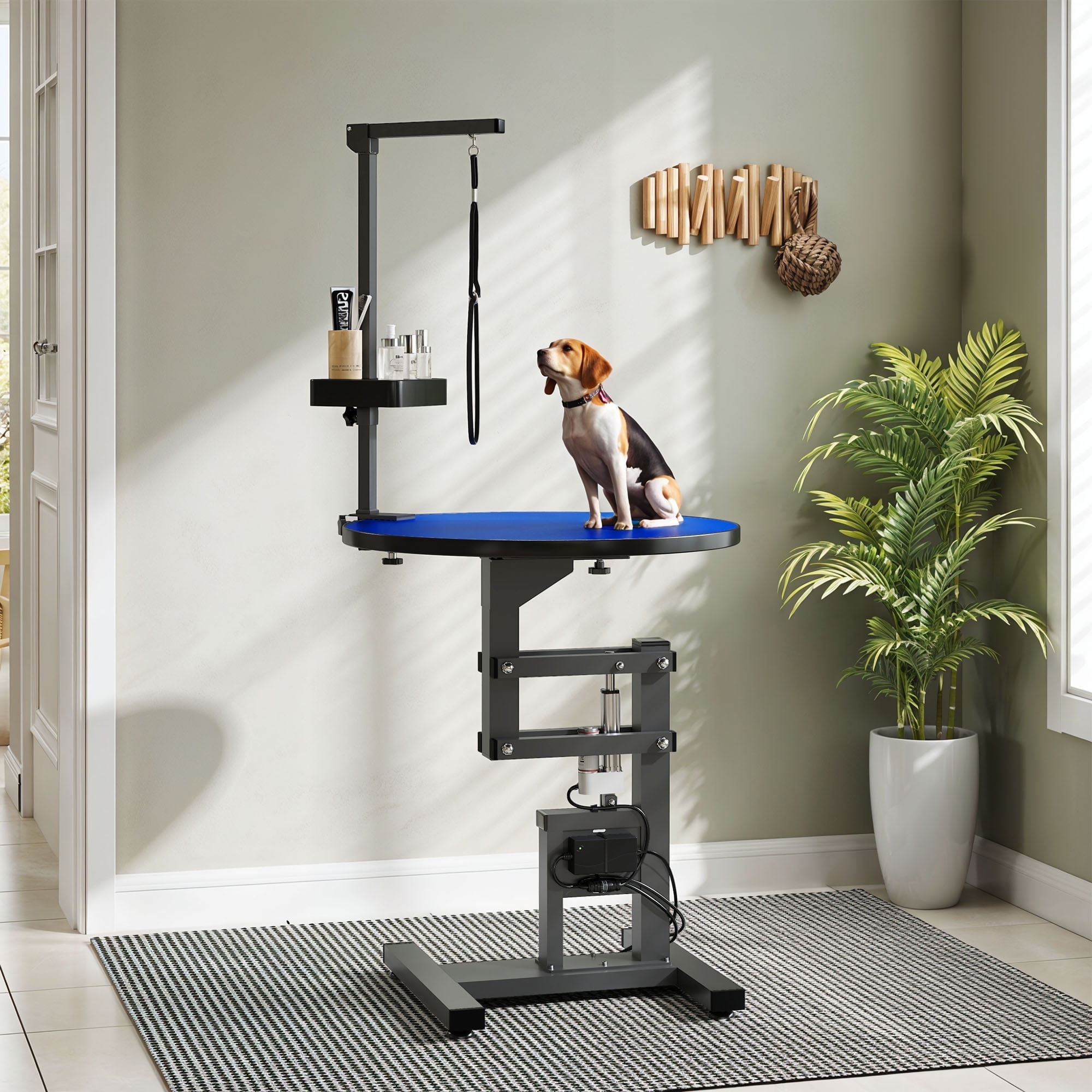 ModFusion 2 ft Electric Rotating Dog Grooming Table, Round, Non-Slip ...