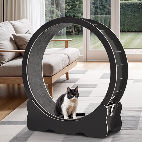 Cat Wheels in Cats - Walmart.com