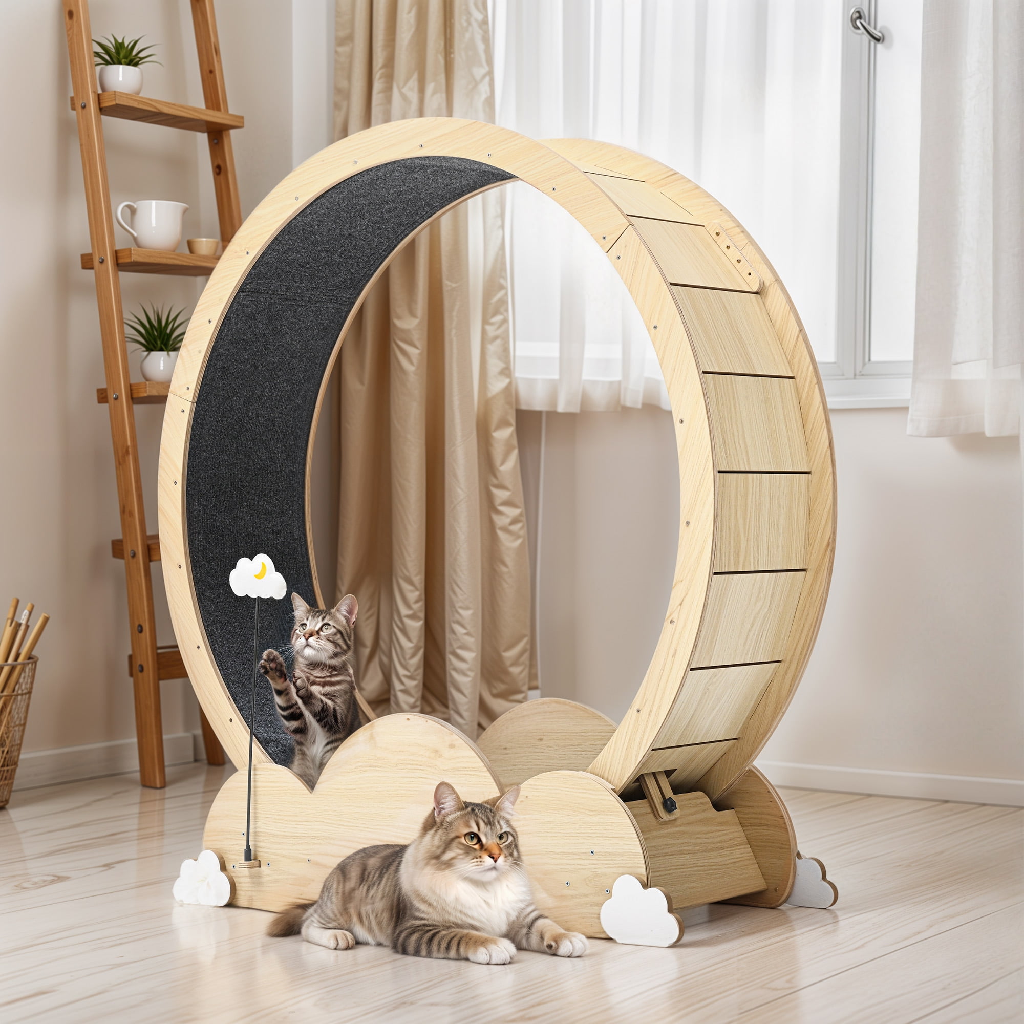 ModFusion 43" Cat Exercise Wheel with Silent Roller and Safety Lock ...