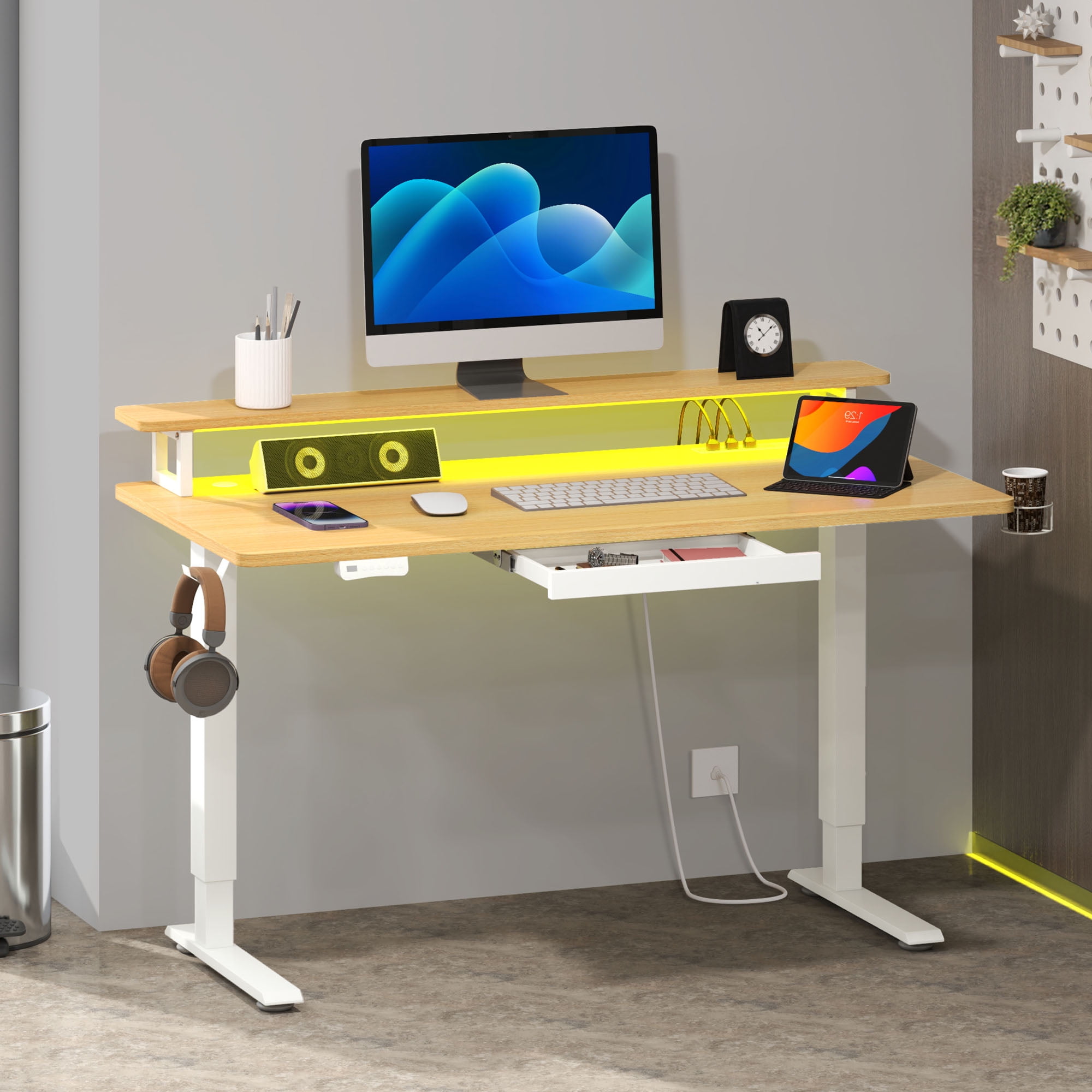 ModFusion 55" Ergonomic Computer Desk with Electric Height Adjustable ...