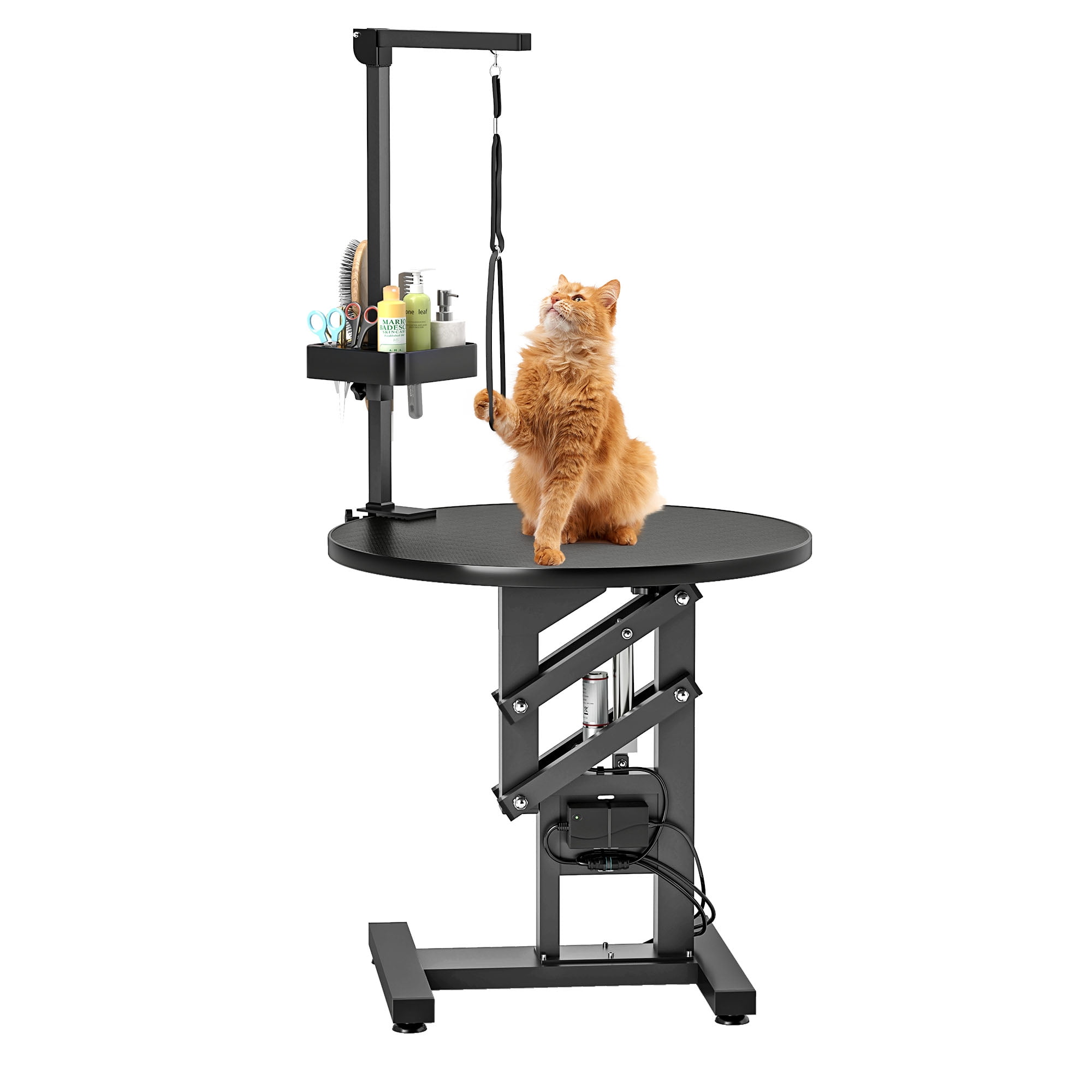 ModFusion Electric Lift Dog Grooming Table with 24" Rotating Desktop ...