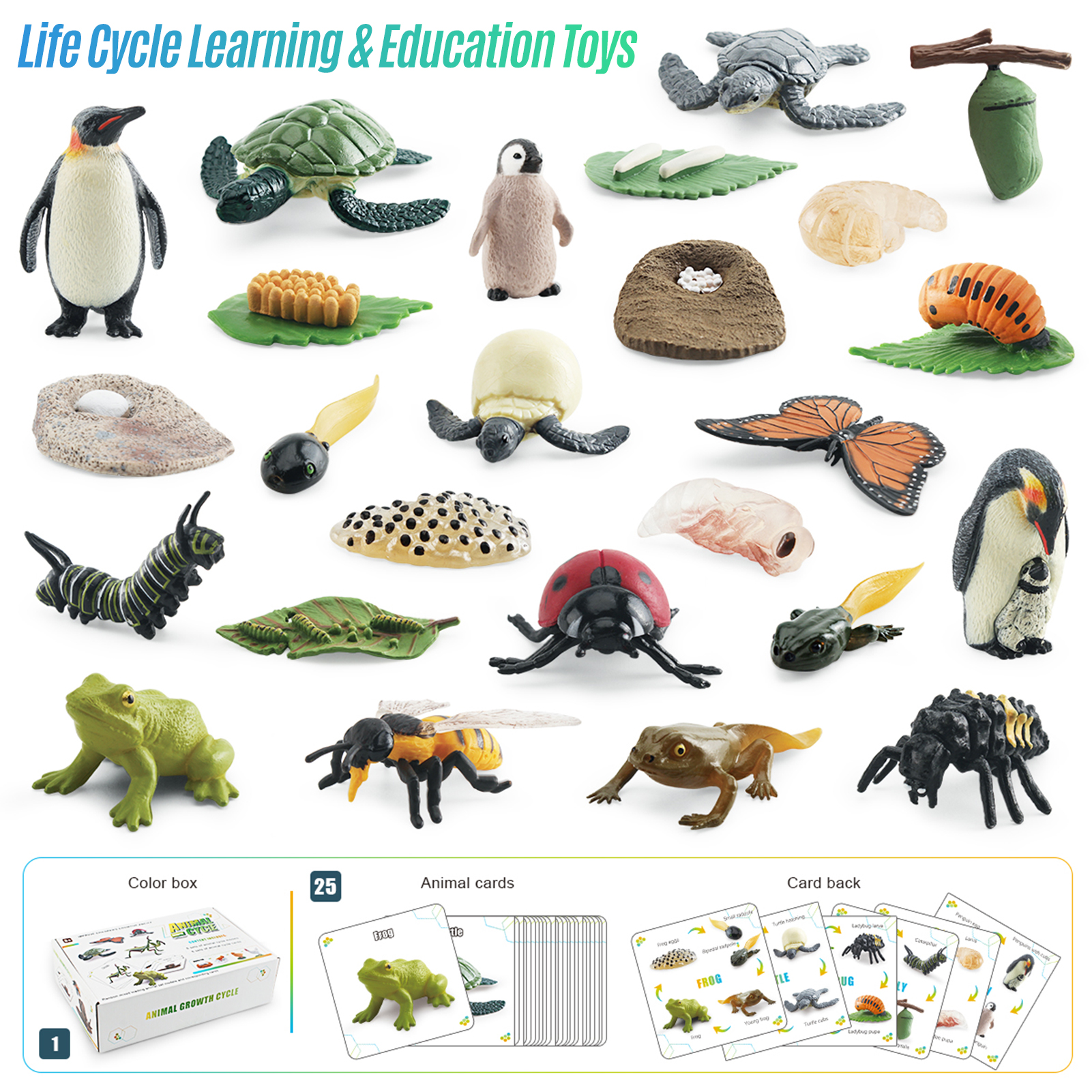 Model,Animal Chicken Model Craft Toddler Lanru Toddler Education Animal ...