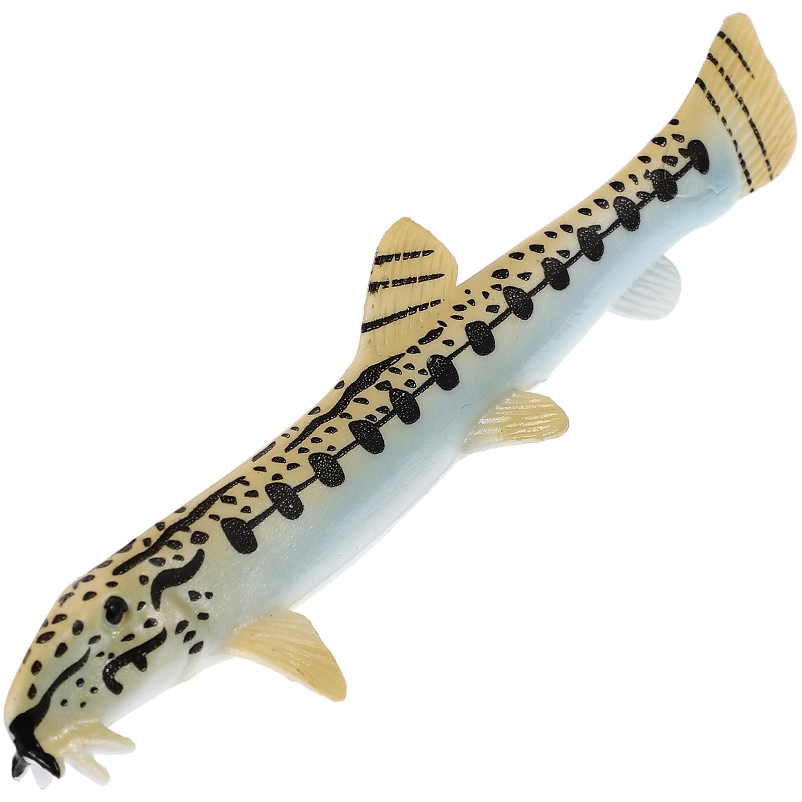 Model Animal Loach Ocean Toys Toy Creature Simulated Figurine Marine ...