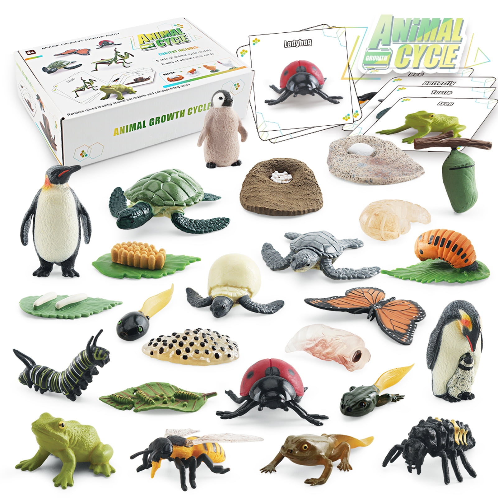 Model,Education Montessori Model Kit 3 Model Craft Kit Bee Turtle Ideal ...