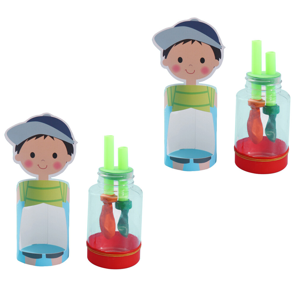 Model Human Respiratory Body System Organseducation Physiological ...