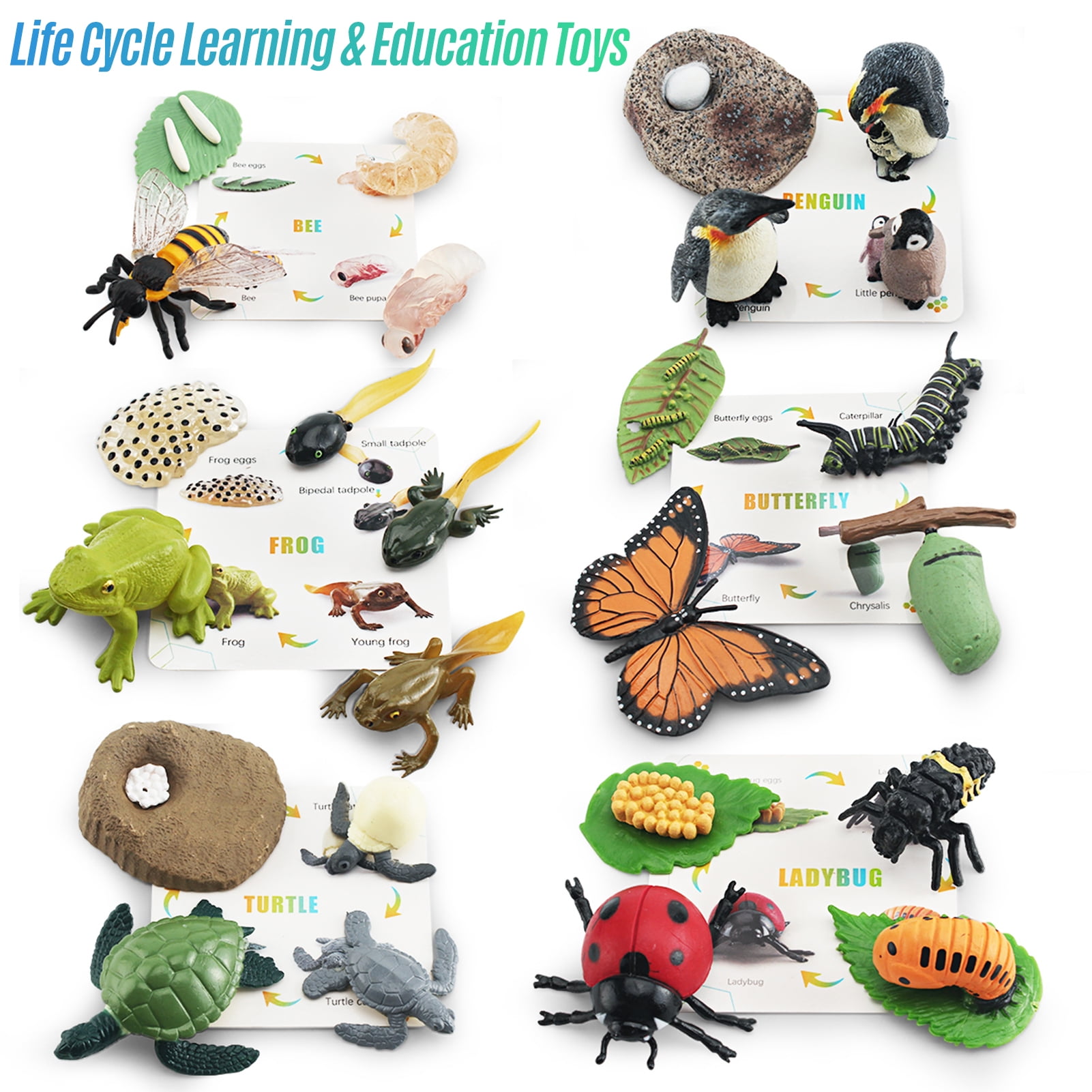 Model,Of 25pcs Model Craft Kit 3 Animal Of Chicken Bee Toddler ...