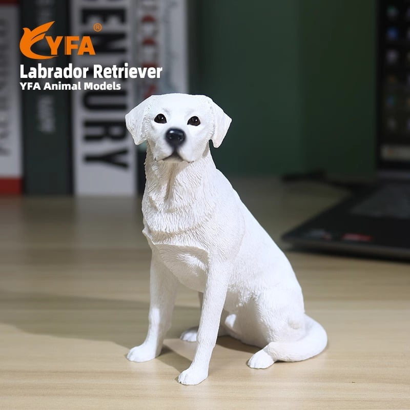 Model Play the Labrador Retriever Sitting Posture Artificial Dog Model ...