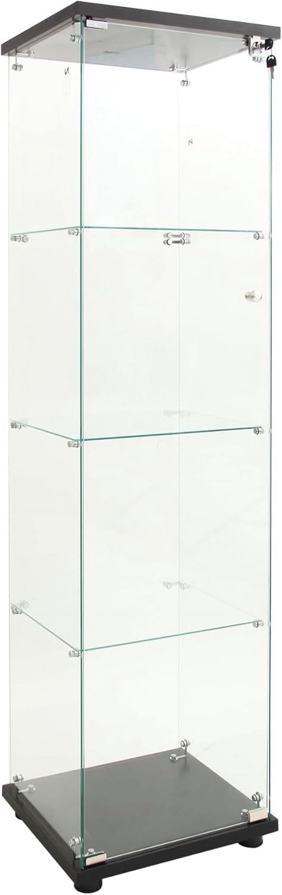 Modern 64.5'' Contemporary 4-Shelf Case Glass Display Cabinet in Clear ...