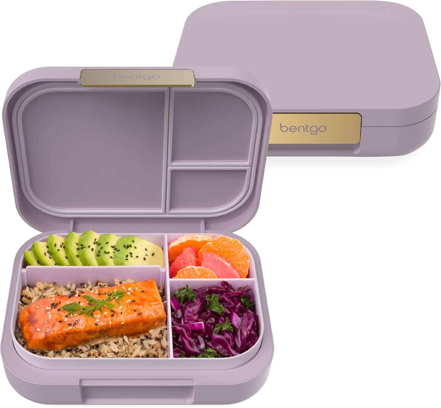 Modern - Adult & Teen Bento Lunch Box; 3-4 Compartments, Leak-Resistant ...