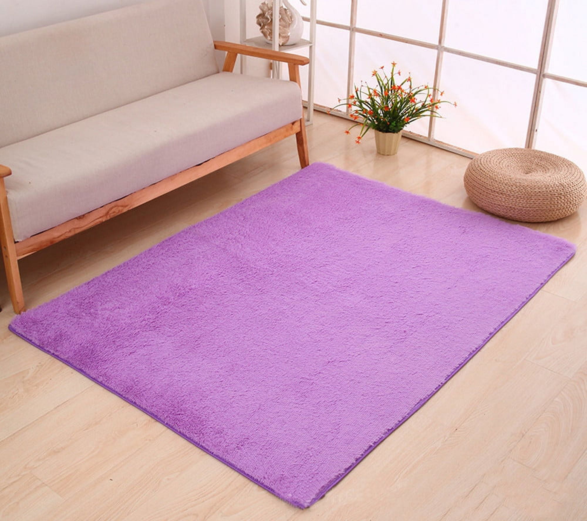 Modern Area Rug Living Room Rugs,Super Soft Rug, Indoor Plush for ...