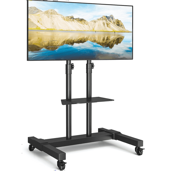 Rolling Stand Flat Screen Tv