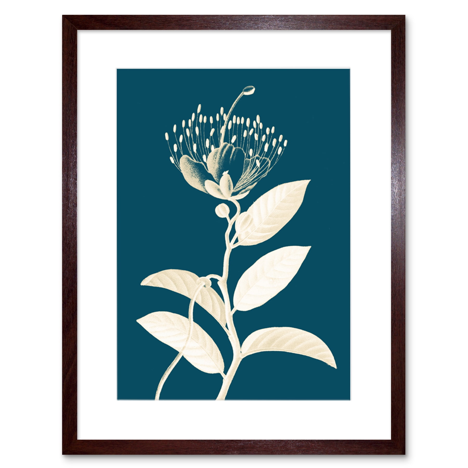 Modern Bold Biodiversity Blue Plant Artwork Framed Wall Art Print 9X7 ...
