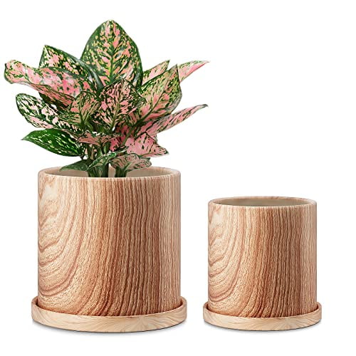 Modern Ceramic Pots Planters with Drainage Hole - Walmart.com