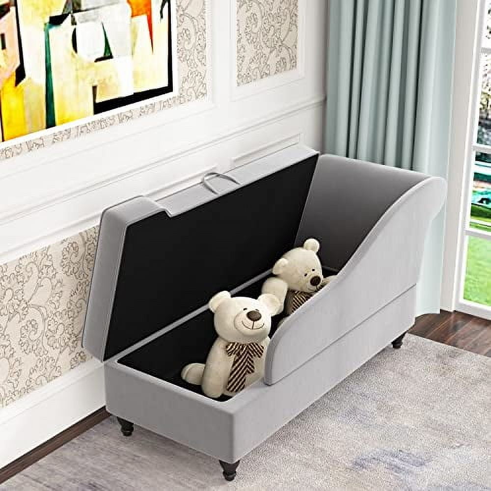 Modern Chaise Lounge Indoor with Storage Fabric Chaise Lounges Chair ...