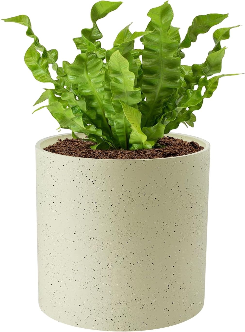 Modern Decorative Planter Plant Pot with Drainage System White Ink Dot ...