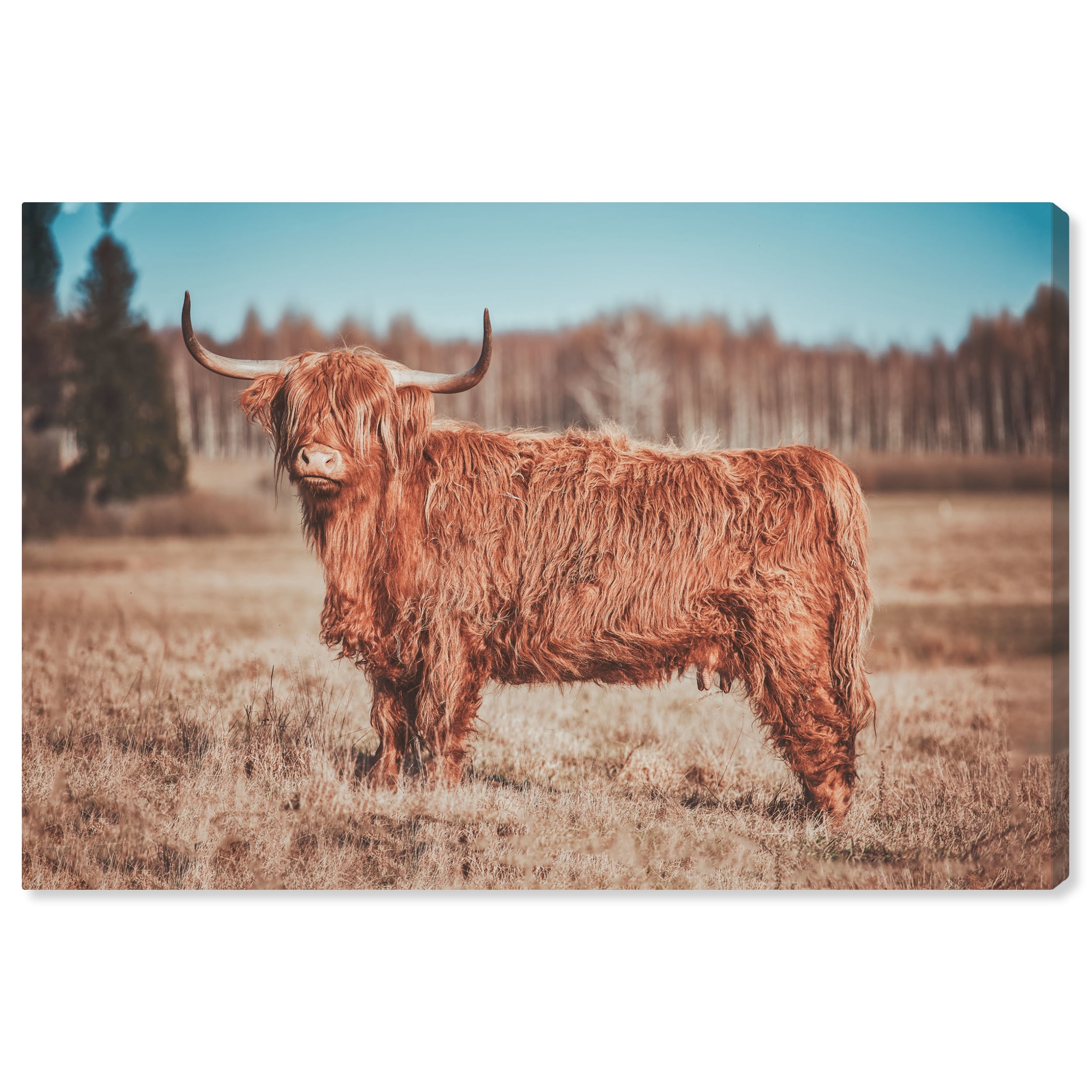 Modern Farmhouse Cow Animals Wall Art Print - Sustainable & Fade ...