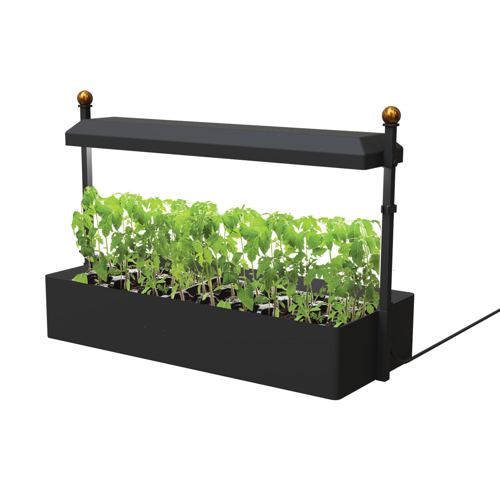 Modern Farmhouse Gardener Indoor Grow Kit - Tabletop Planter with Grow ...