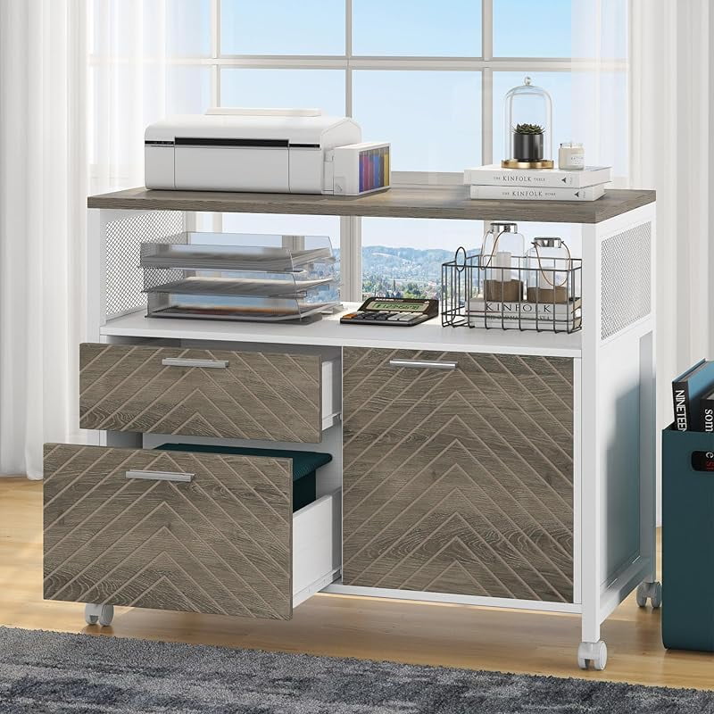 Modern File Cabinet with Drawers for Letter-Sized File and Door ...