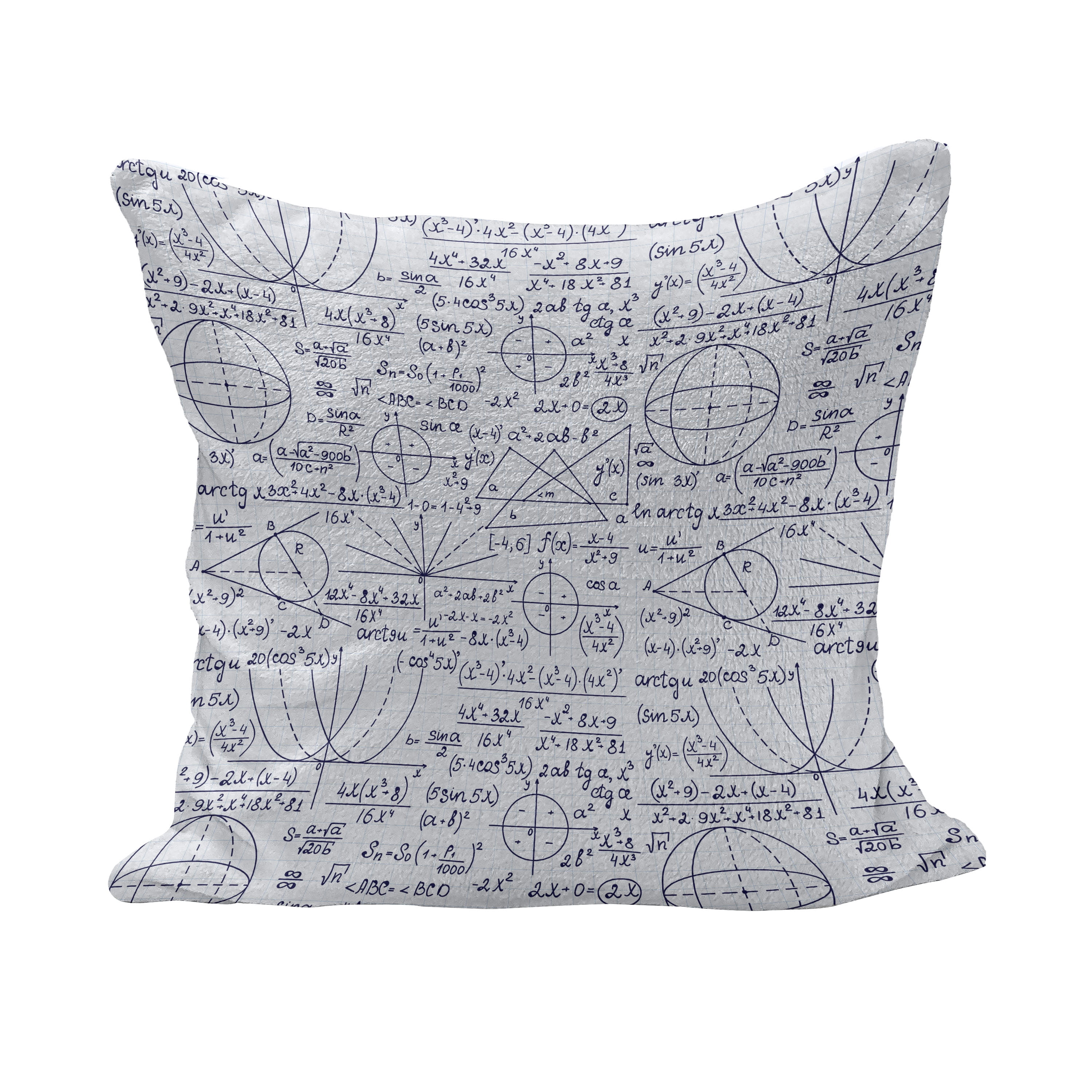 Modern Fluffy Throw Pillow Cushion Cover, Genius Smart Student Math ...