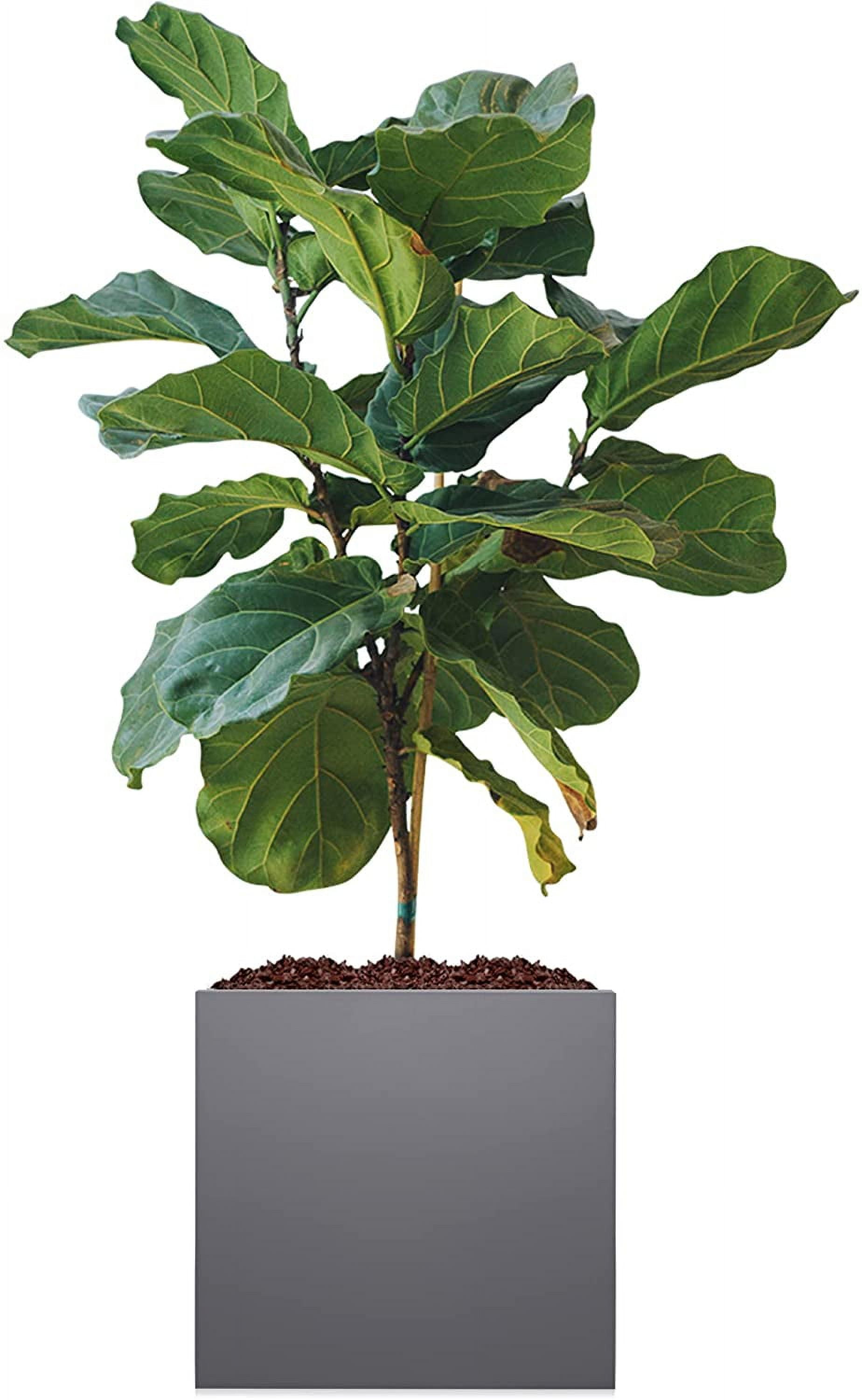 Modern Galvanized Metallic Planter for Indoor Outdoor with Drainage (16 ...