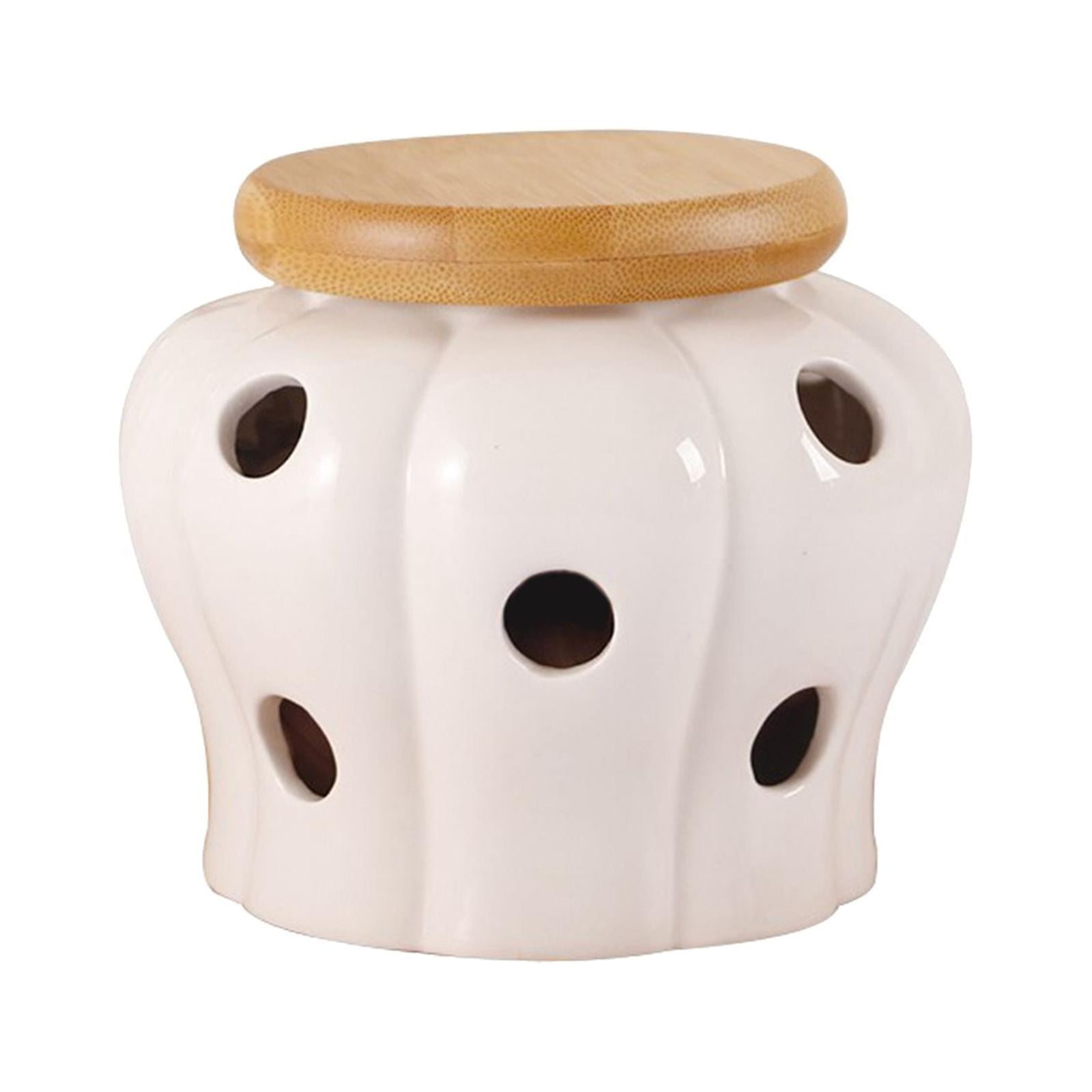 Modern Ceramic Garlic Keeper Jar, Ventilated Storage Box with Lid for ...