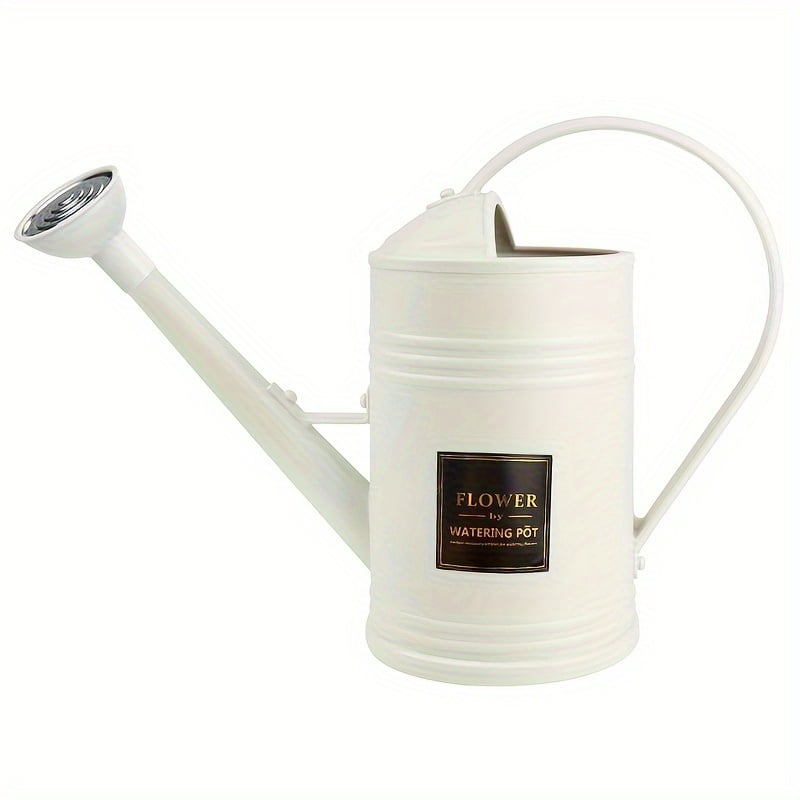 Modern Handheld Watering Can with Detachable Spout - 0.5 Gallon Durable ...