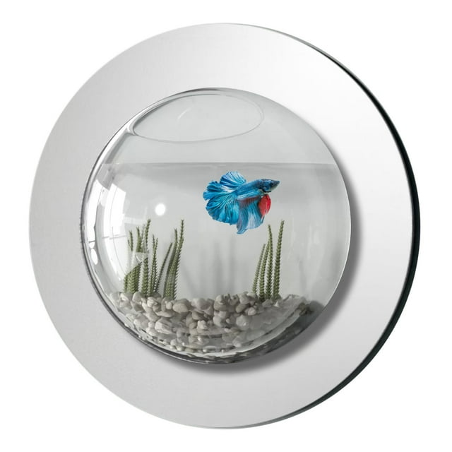 Modern Home Betta Setup Small - Reflection Fish Bubble Aquarium, Deluxe ...