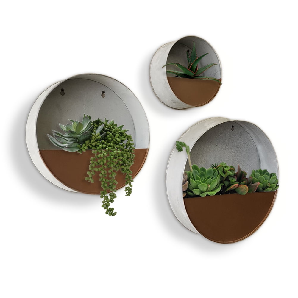 Modern Home Round Living Wall Mounted Galvanized Steel/Zinc Succulent ...
