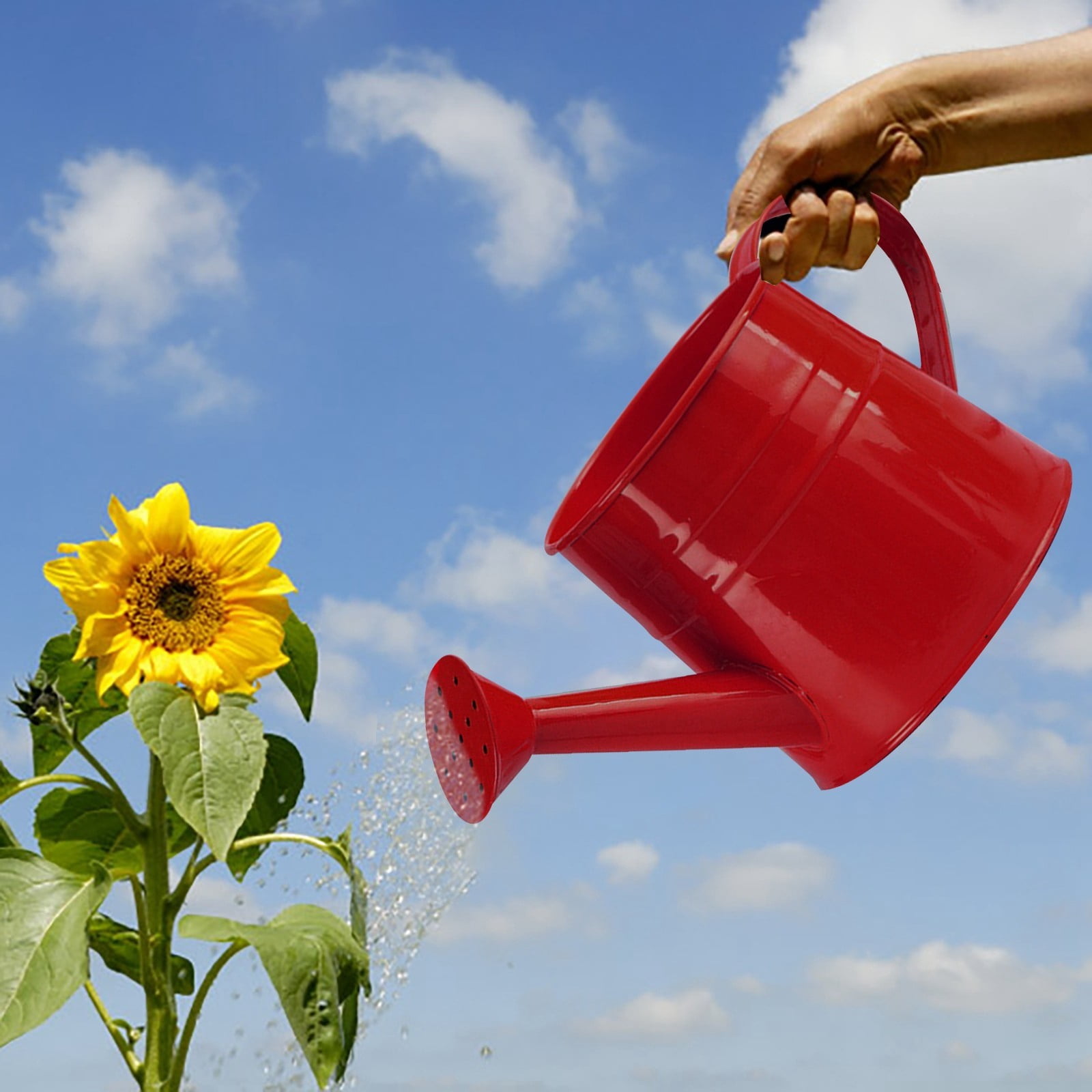 Modern Indoor Outdoor Watering Can for Home Garden Use Metal ...