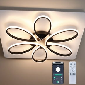 Remote Controlled Ceiling Light Fixture