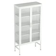 Modern Locker Glass Cabinet, Glass Display Cabinet With 2 Doors ...