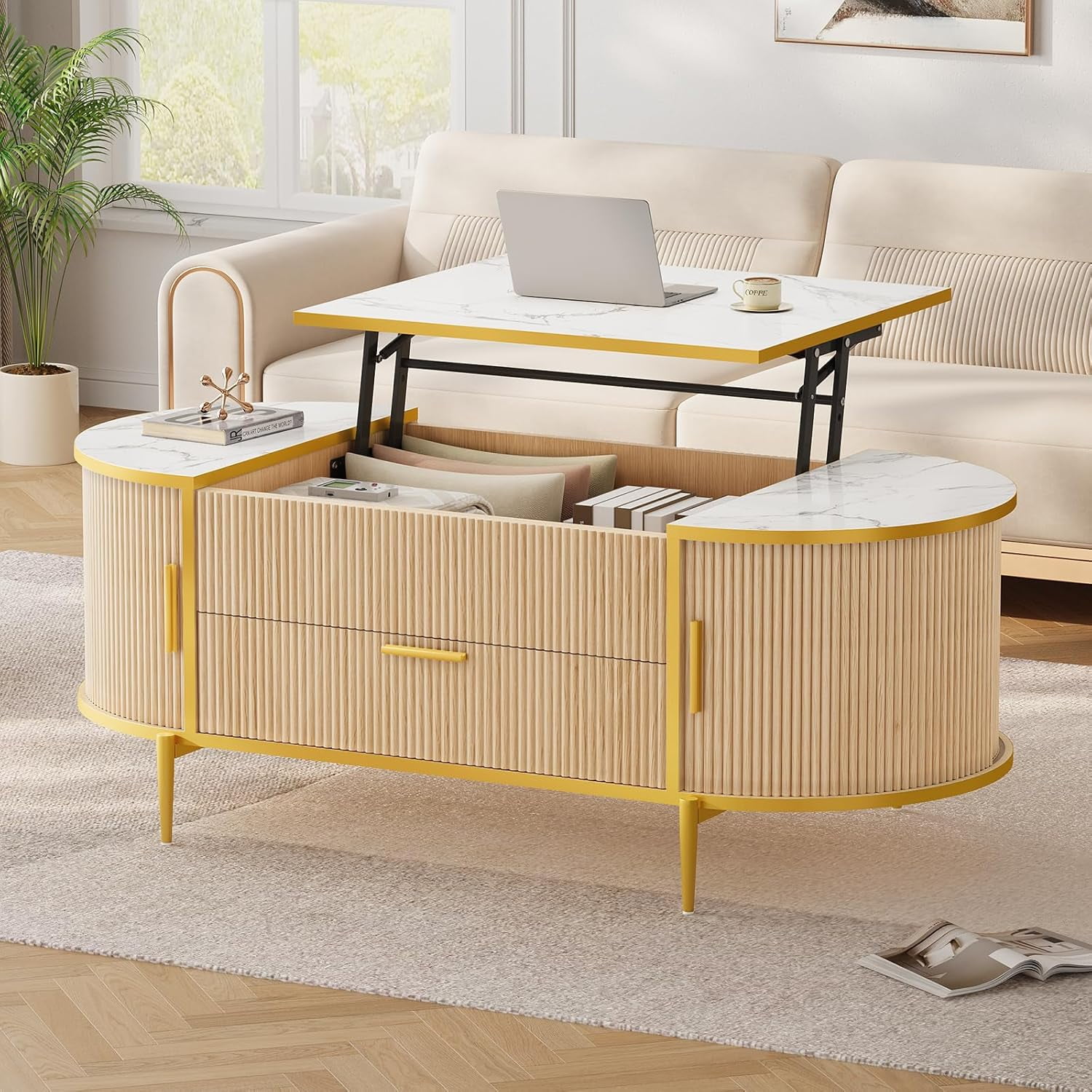 Modern Luxury Lift Top Coffee Table, 47" Oval Coffee Table with Storage ...