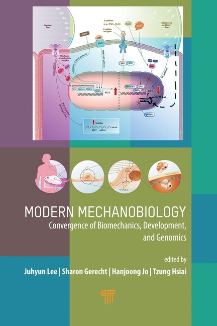 Modern Mechanobiology: Convergence of Biomechanics, Development, and ...