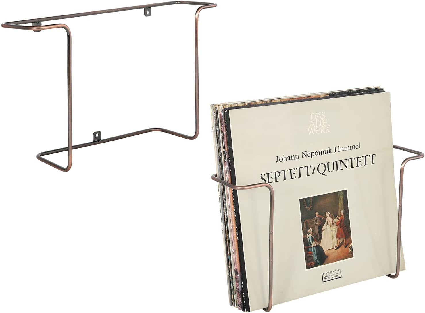 Modern Metal Wire Wall-Mounted Vinyl Records Storage Racks, Hanging LP ...