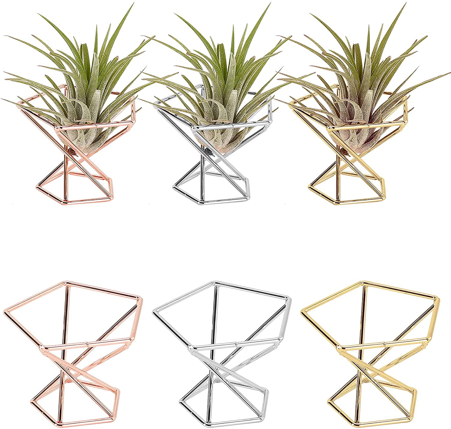 Modern Miniature Gold Plant Decor for Air Ferns Gilded Geometric Air ...