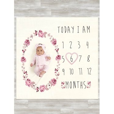 Modern Moments By Gerber Baby Girl Milestone Blanket & Frame Set, 2 ...