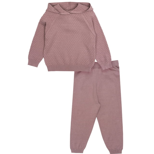 Modern Moments by Gerber Toddler Girl Hoodie and Pant Set, 2-Piece ...
