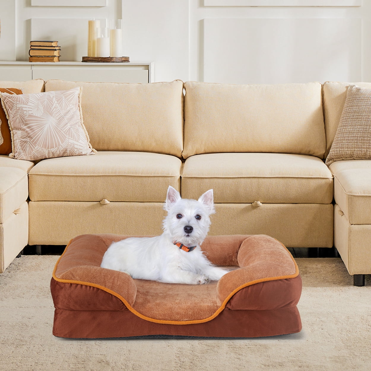 Modern Non-slip Base Memory Foam Pet Bed, Egg Crate Foam Sofa with ...