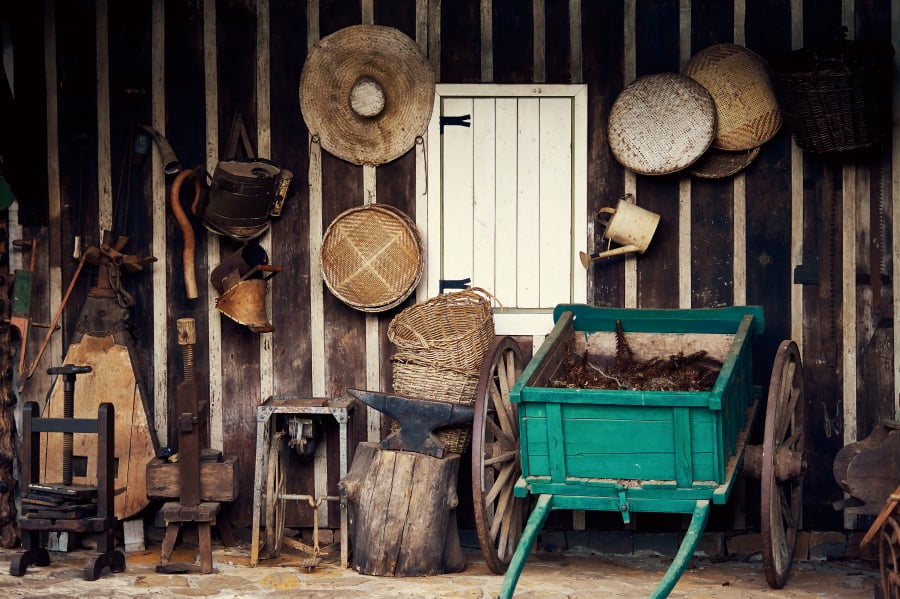 Modern Prairies Farm Interior Dairy Cows Photography Background Adults ...