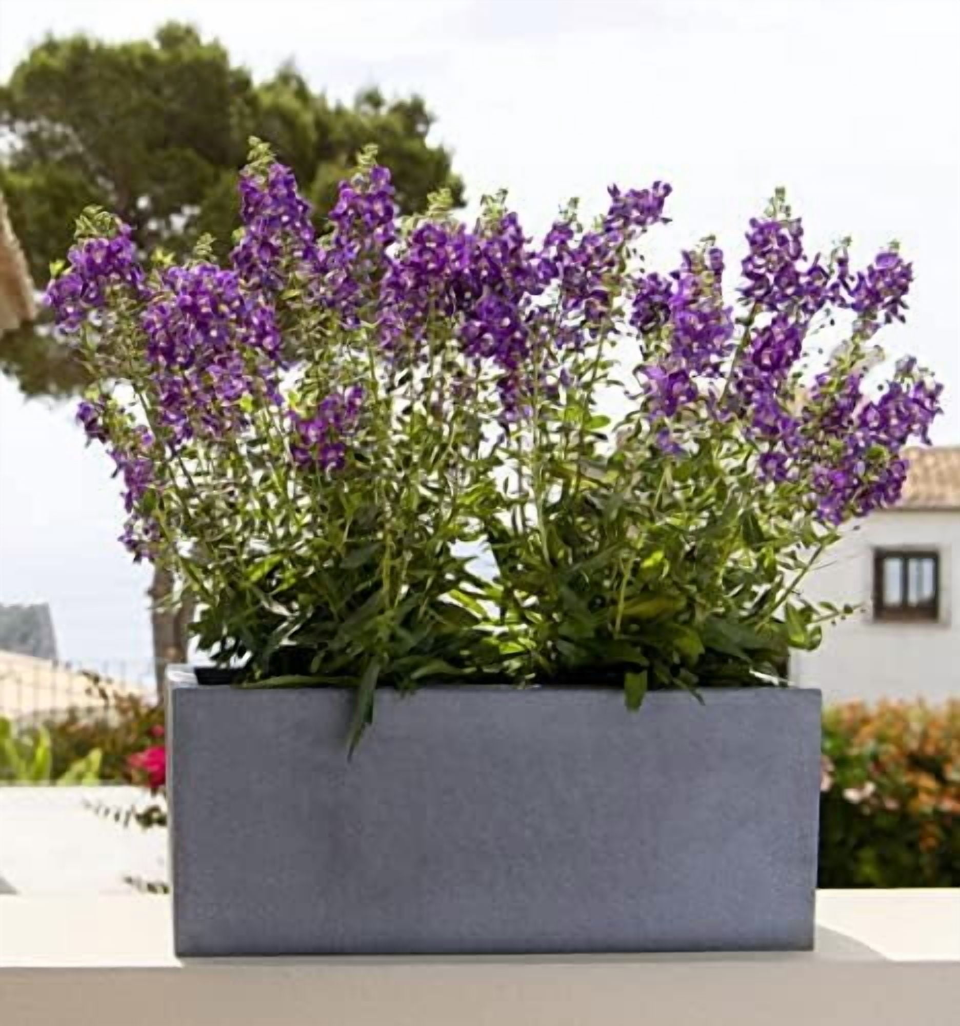 Modern Rectangle Balcony Window Cement Gray Planter Box Elegant ...